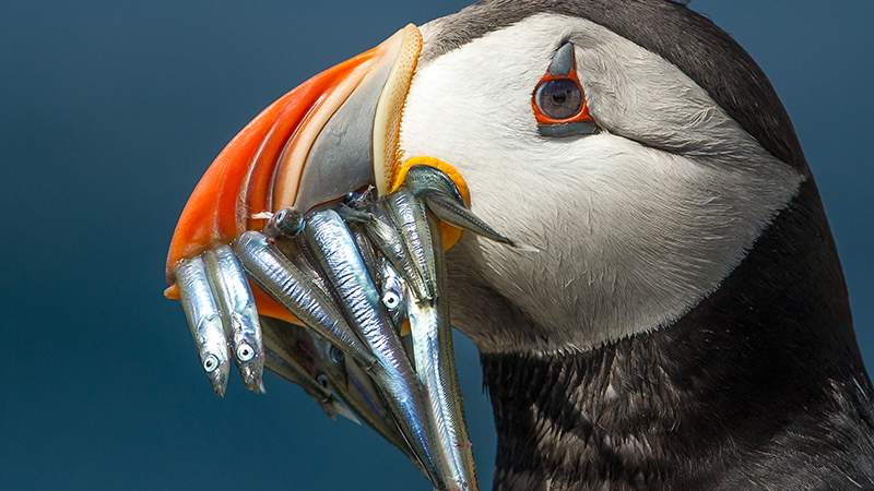 Atlantic Canada | The Canada Guide